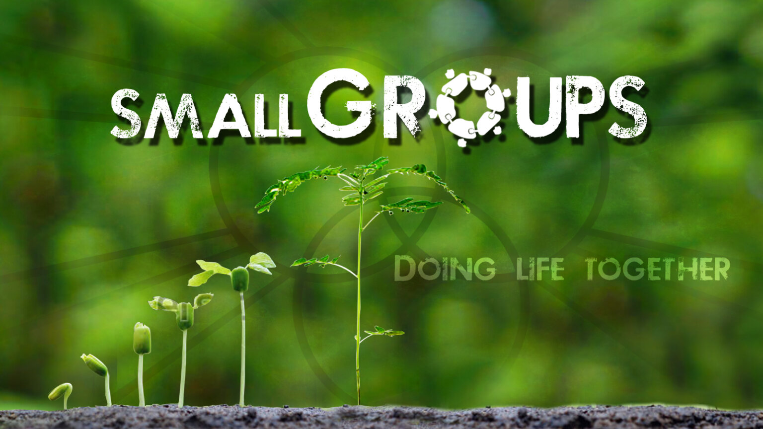 Birds & Bees Small Group - Millington Baptist Church